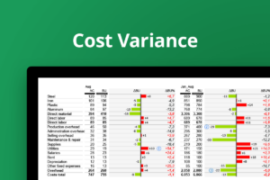 Report Template Gallery (Excel & Power BI) | Zebra BI