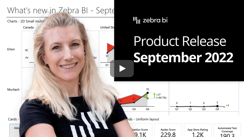 Cost variance report in Excel with Zebra BI for Office