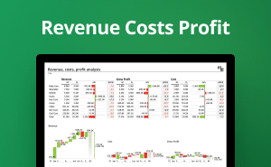 Income statement templates Excel | FREE | Zebra BI