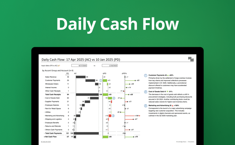 Daily Cash Flow Template - Zebra BI
